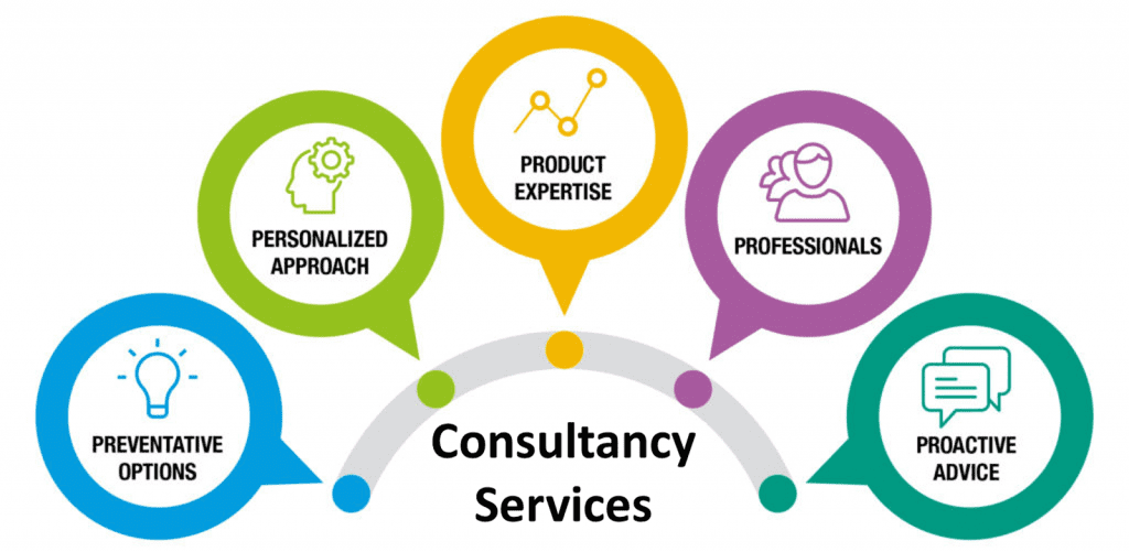Consultancy Services - Netwas